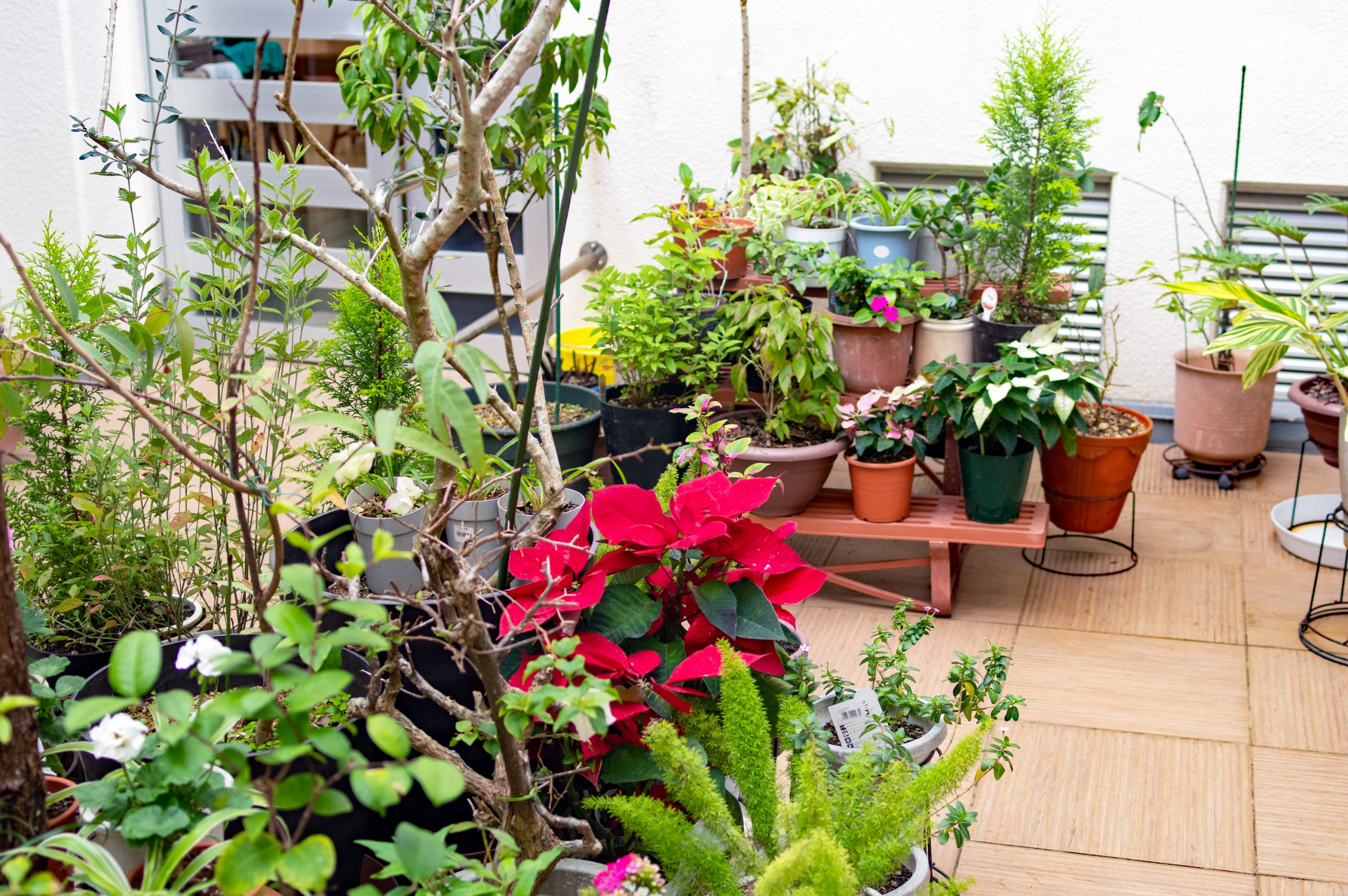 _IMG8261.jpgブログ｜2月16日(金)｜アドベンチストメディカルセンター